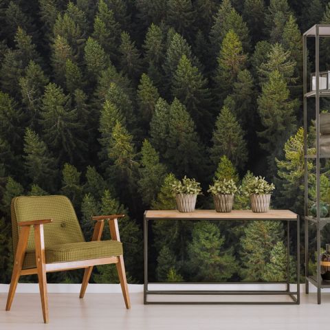 Pine Forest Landscape Wallpaper Mural • Wallmur®