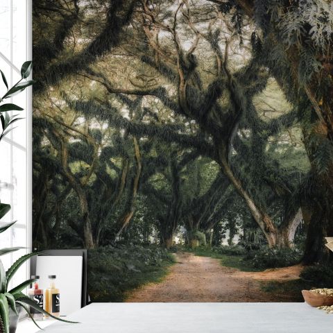 Oak Tree Forest Wallpaper