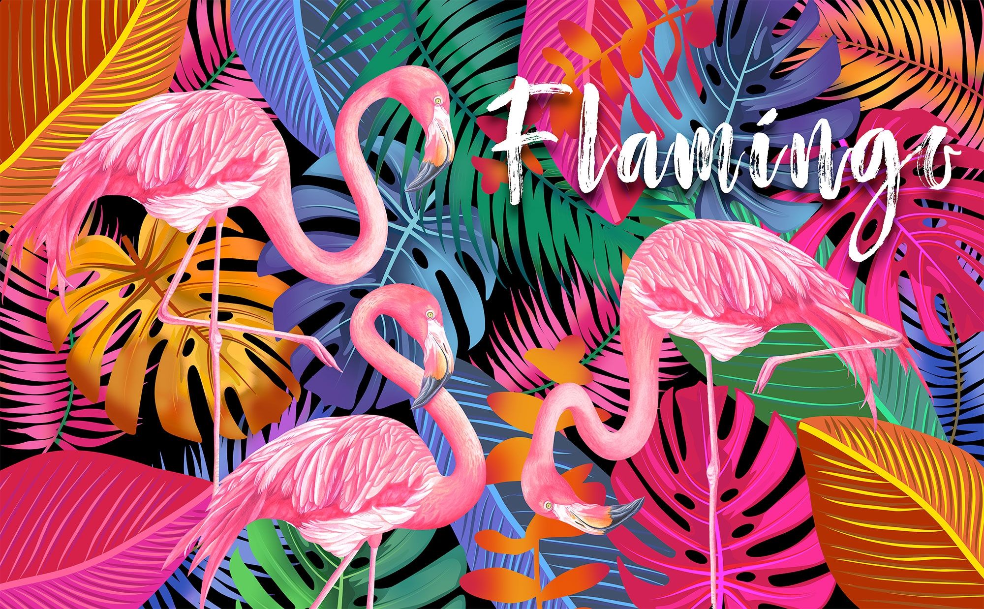 Flamingo Wallpaper