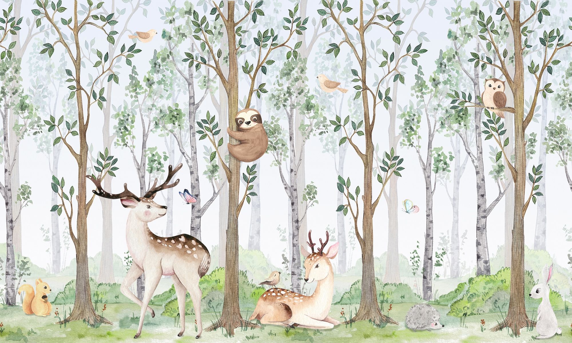 Forest Animals For Kids