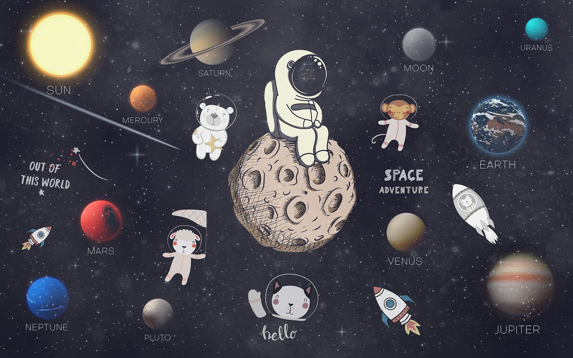 Animals In Space